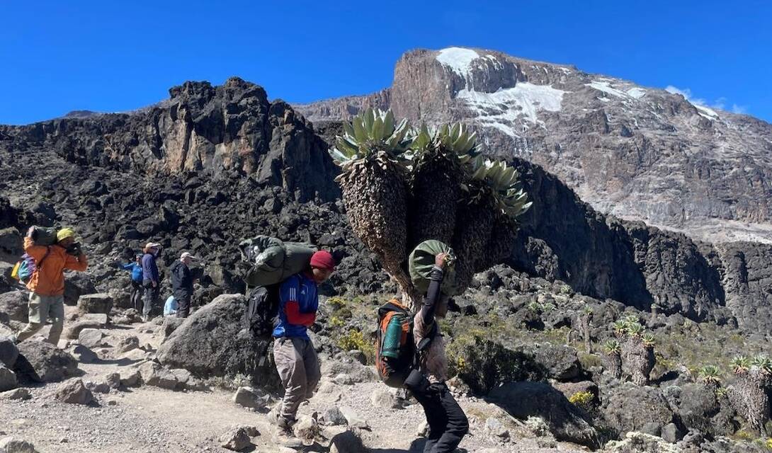 7 Summits Challenge | Adventure Peaks